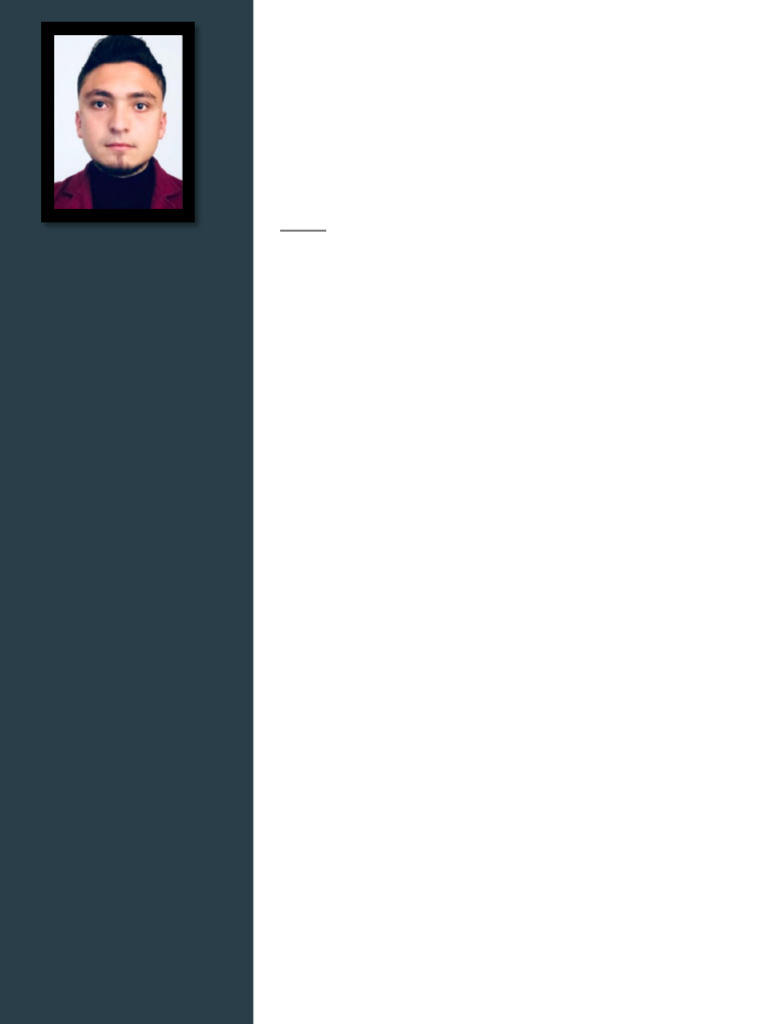 CV Jorge | PDF | Contabilidad | Contador