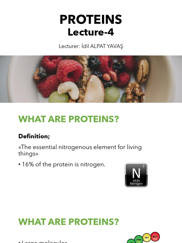 4 Proteins 2 | PDF | Proteins | Amino Acid