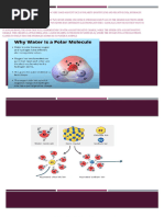 Cambridge O Level Biology Syllabus | PDF | Digestion | Sexual Reproduction