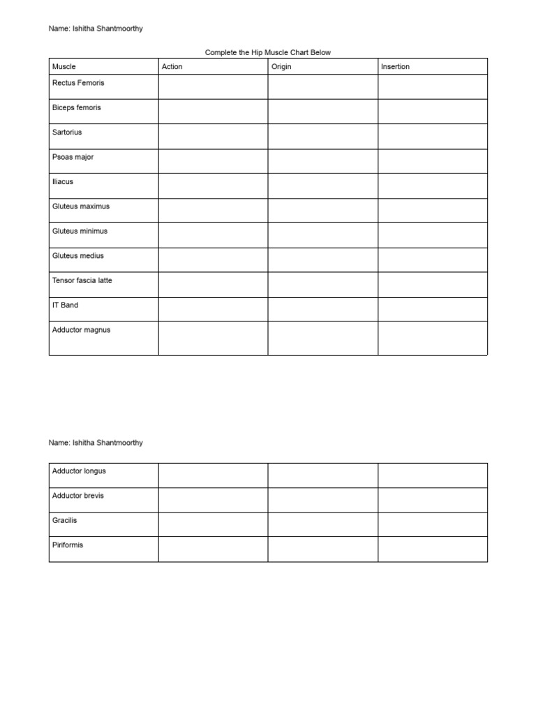 Hip Muscles Chart | PDF