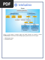 Class 9 - Bio - PPT 1 of 4 - Ls No. 6 - Plant Tissue | PDF | Plant Stem ...