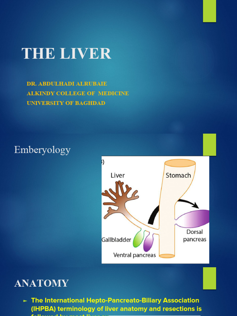 THE-LIVER-1 | PDF | Liver | Positron Emission Tomography