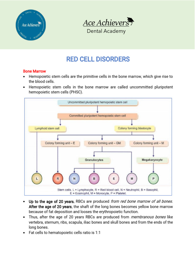 Red Cell Disorders | PDF | Anemia | Red Blood Cell