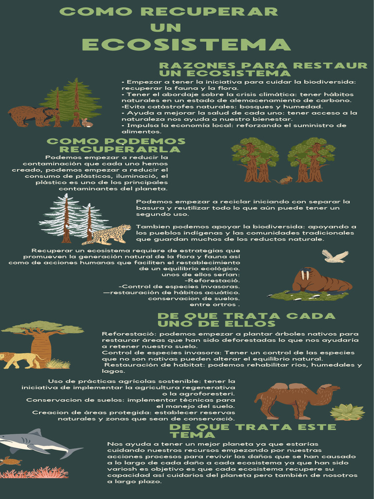 Dark Green Brown Illustrative Geography Biomes Infographic PDF | PDF ...