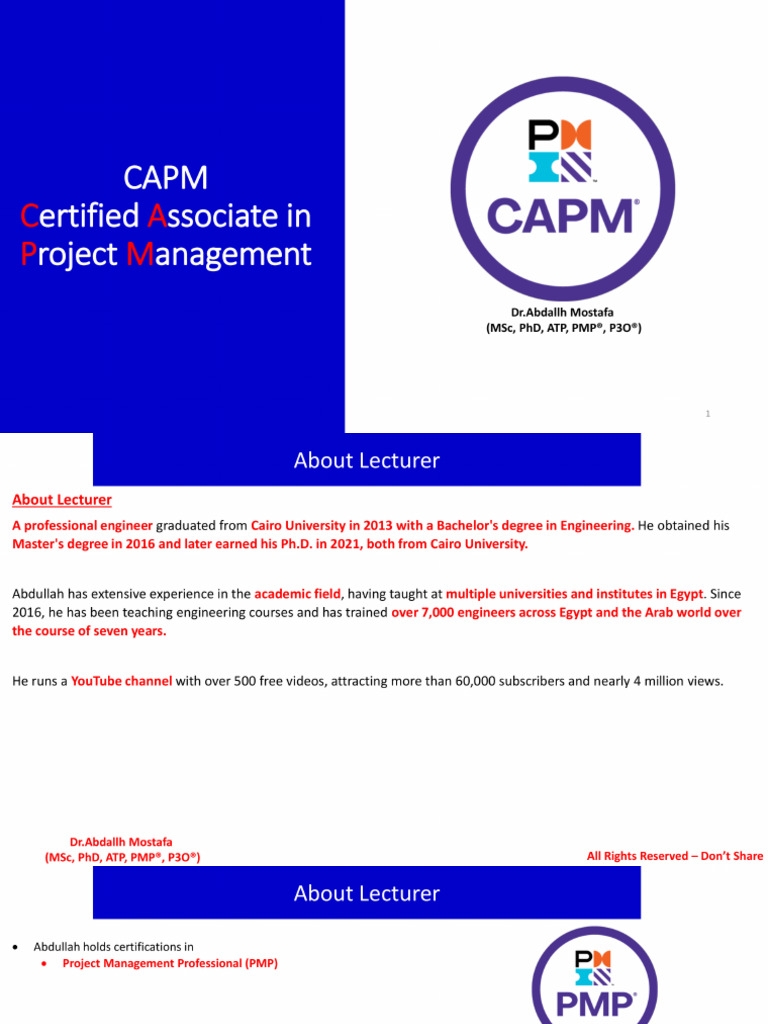 Capm Final | PDF