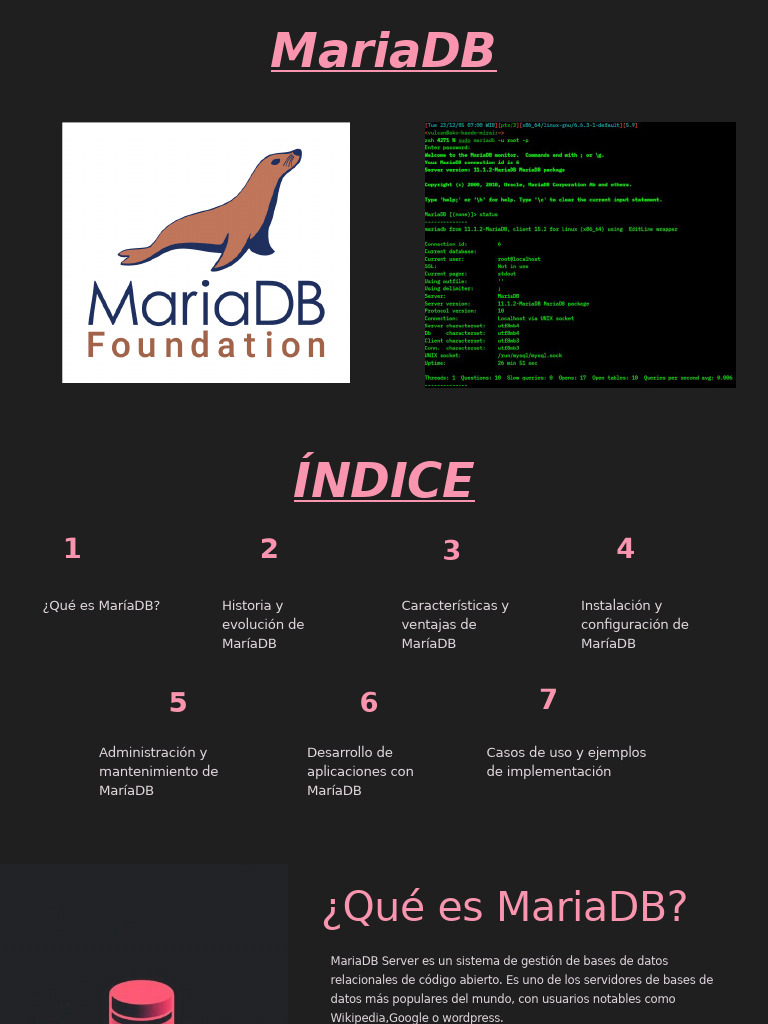 Presentación - Buena para Presentar | PDF | Mi sql | Gestión de tecnología de la información