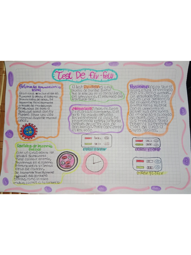 Infografía de Test Fiv-Felv PDF - 23102023 - 215323 | PDF