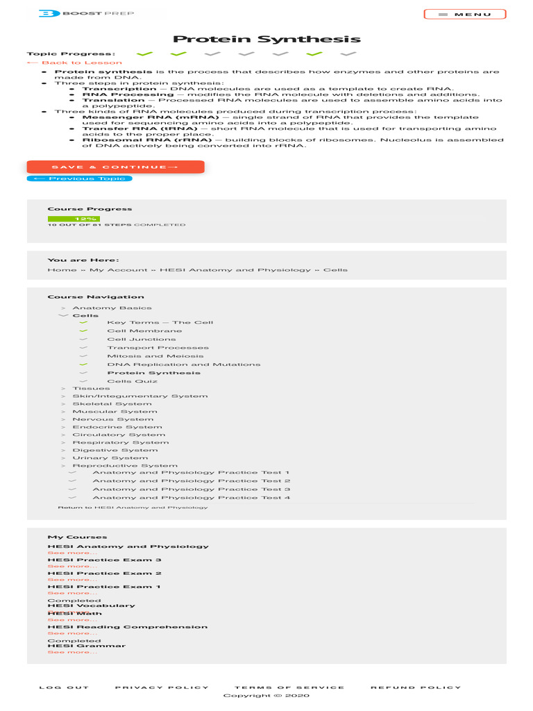 Protein Synthesis - BoostPrep | PDF | Rna | Cell (Biology)