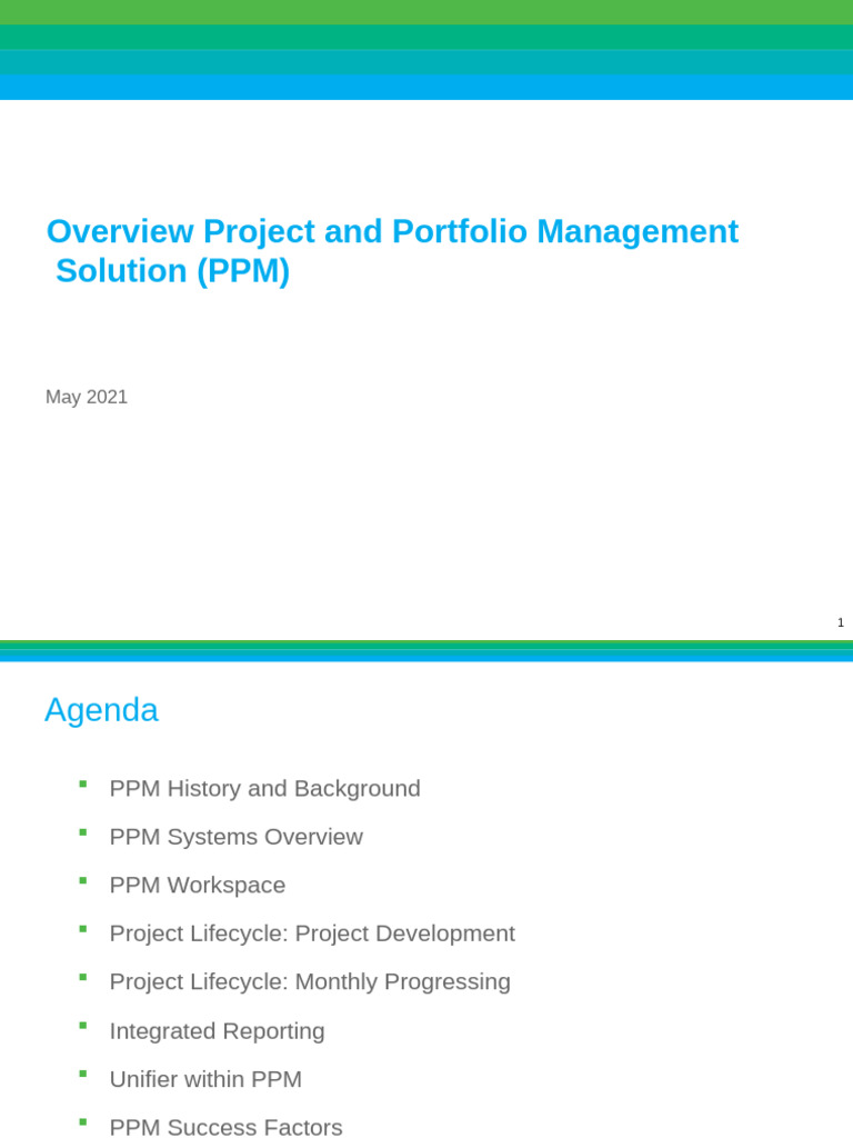 Overview PPM Sap | PDF | Project Management | Databases