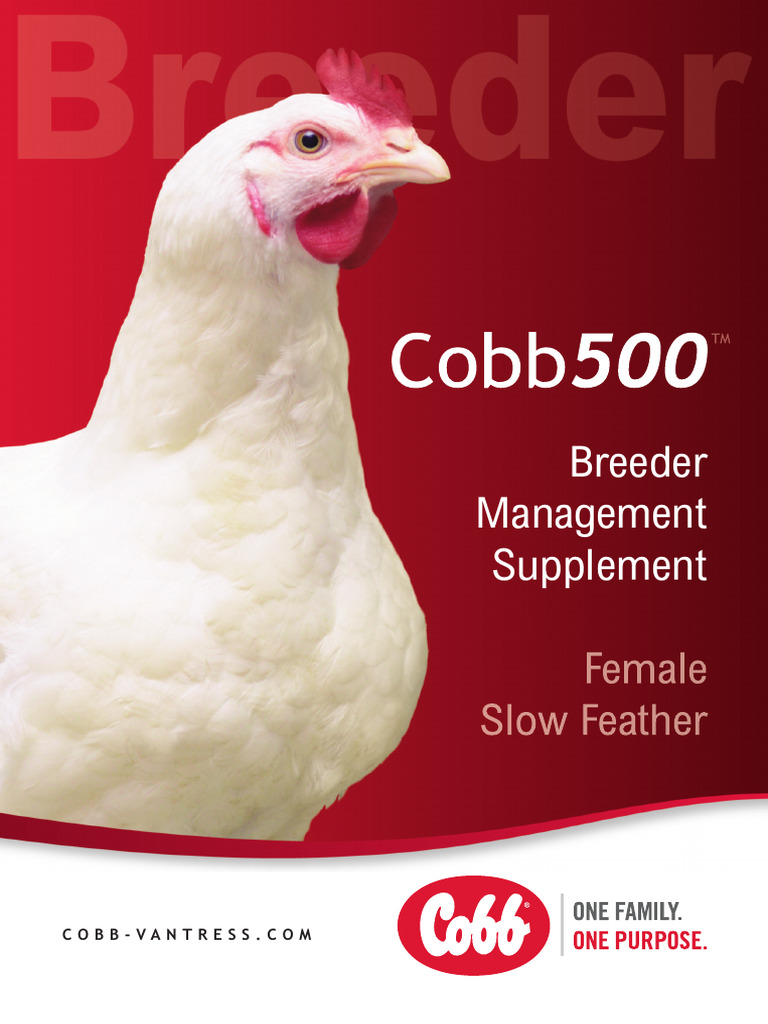 2018 Cobb500 SF Breeder Supplement | PDF | Nutrients | Chicken