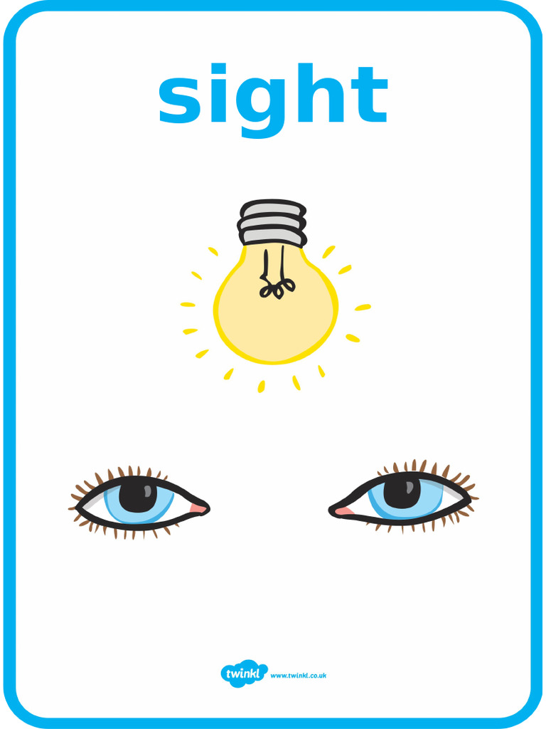 T M 202B The Five Senses Posters Editable Ver 1 | PDF
