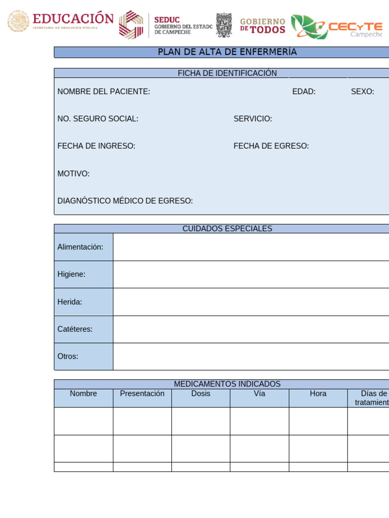 Hoja de Llenado (PLAN DE ALTA DE ENFERMERÍA) | PDF