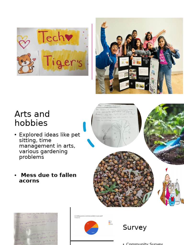 FLL-Tech Tiger Presentation-Final | PDF | Information Technology ...