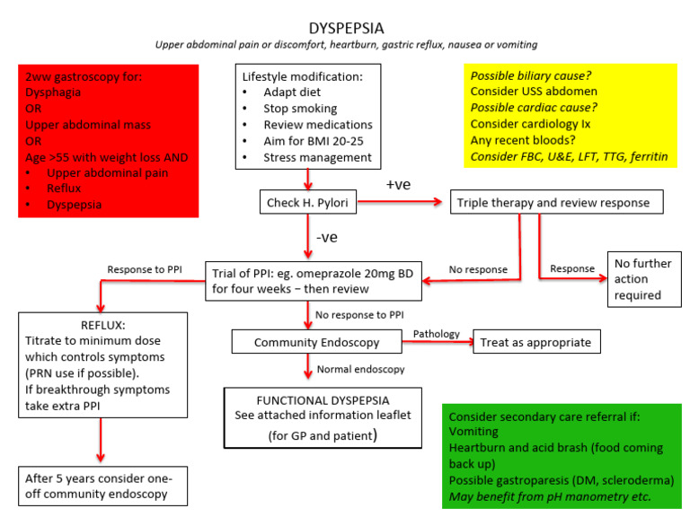 Dyspepsia Pathway 2020 | PDF | Indigestion | Gastroesophageal Reflux Disease