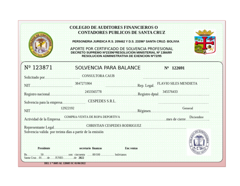 Solvencia para Balance | PDF