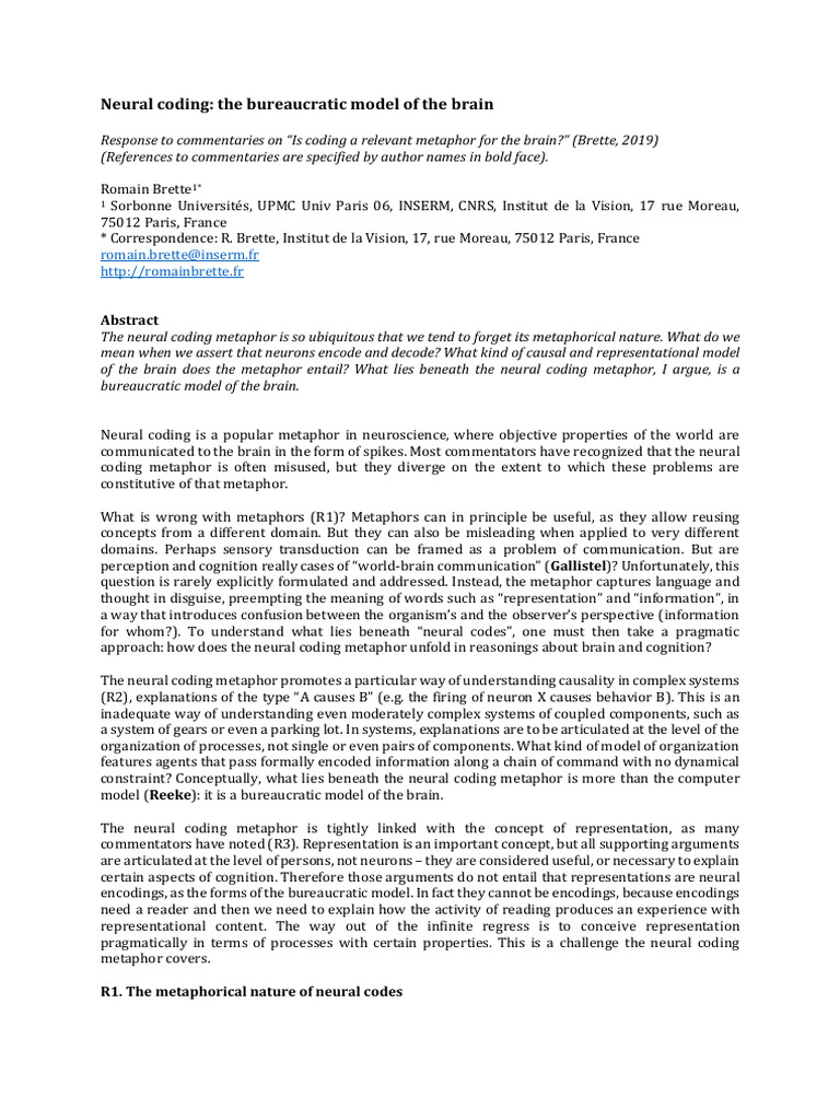 Bureaucratic Model of Neural Coding | PDF | Perception | System