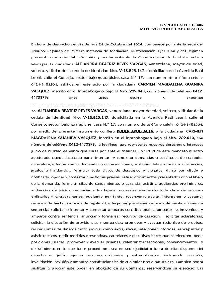 Apud Acta Alejandra | PDF | Judicaturas | Gobierno