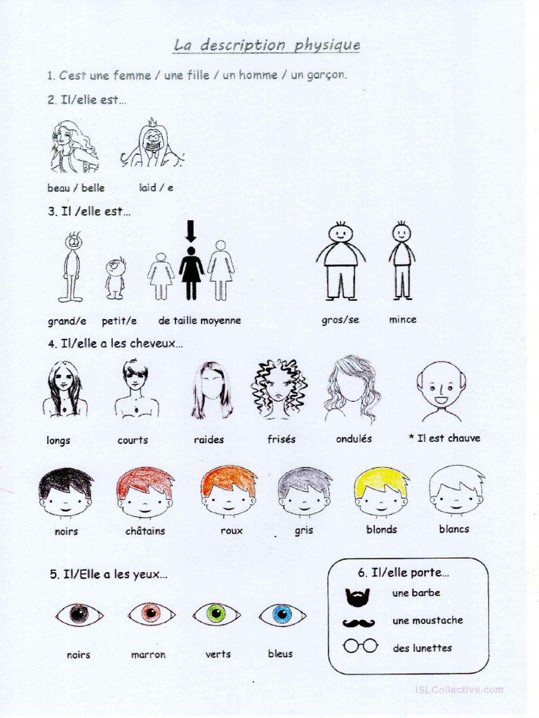 Description Physique | PDF