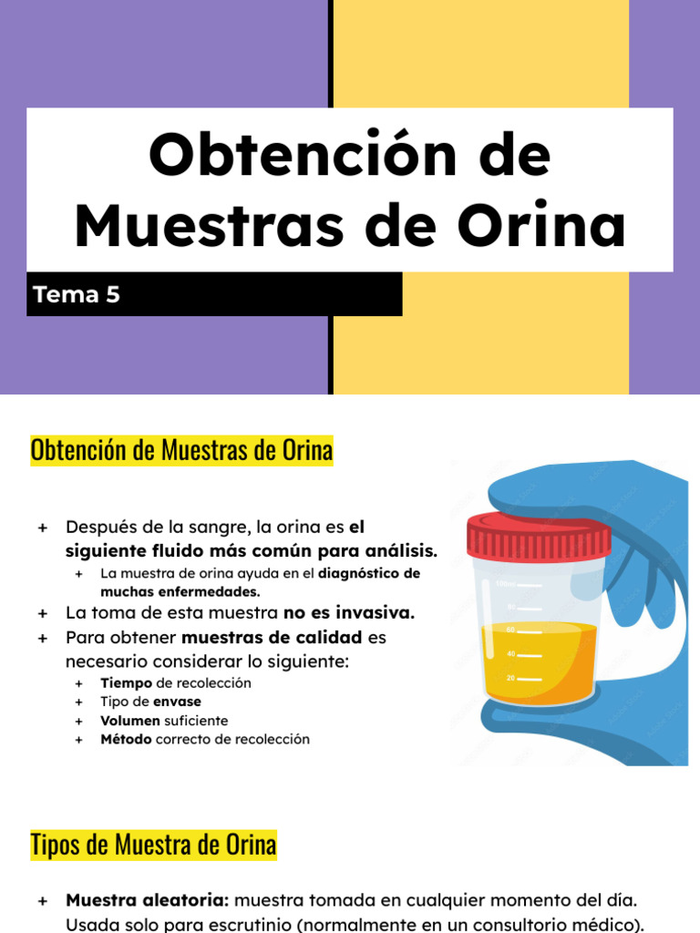 Métodos de Recolección de Orina | PDF | Especialidades Medicas ...