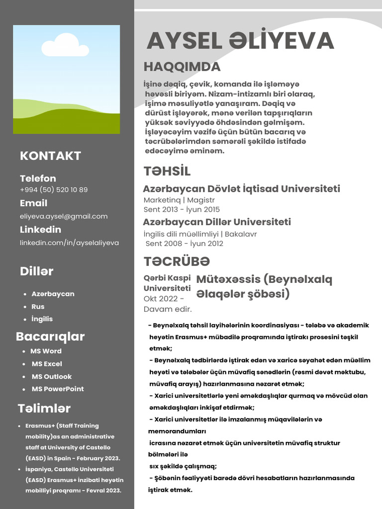 Aysel Əliyeva (AZE CV) | PDF