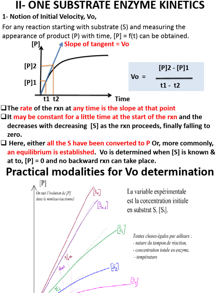 Ii - One Substrate Enzyme Kinetics | PDF | Enzyme Inhibitor | Enzyme ...