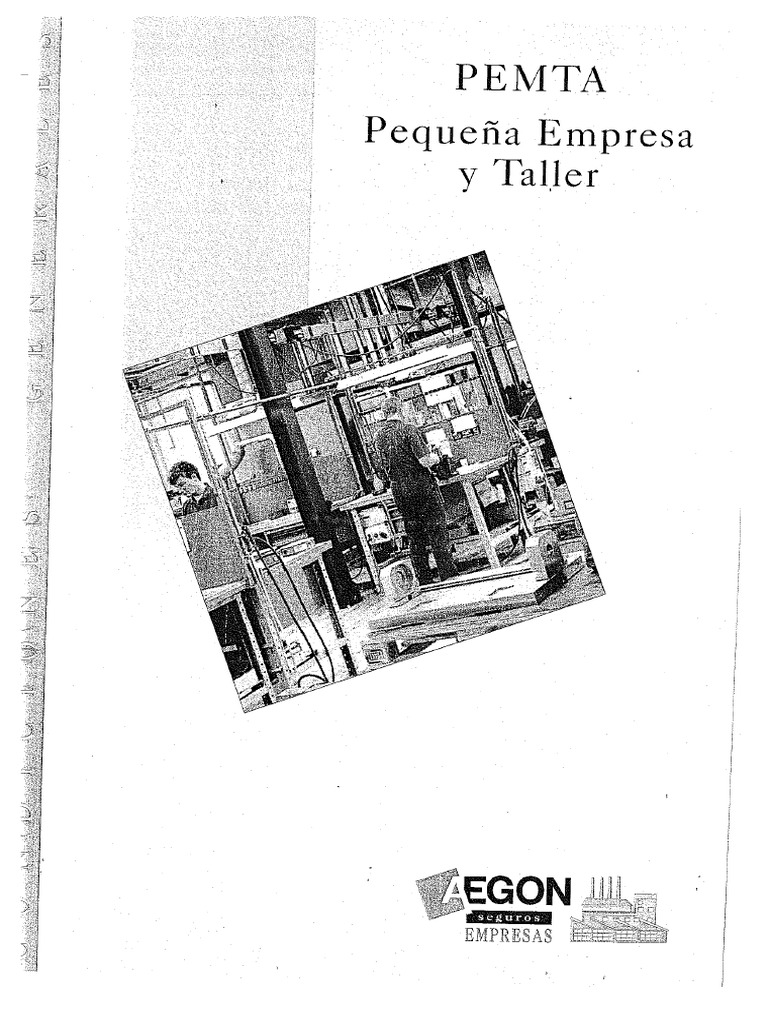 844 - Aegon - Pyme Pemta | PDF 844 - Aegon - Pyme Pemta | PDF