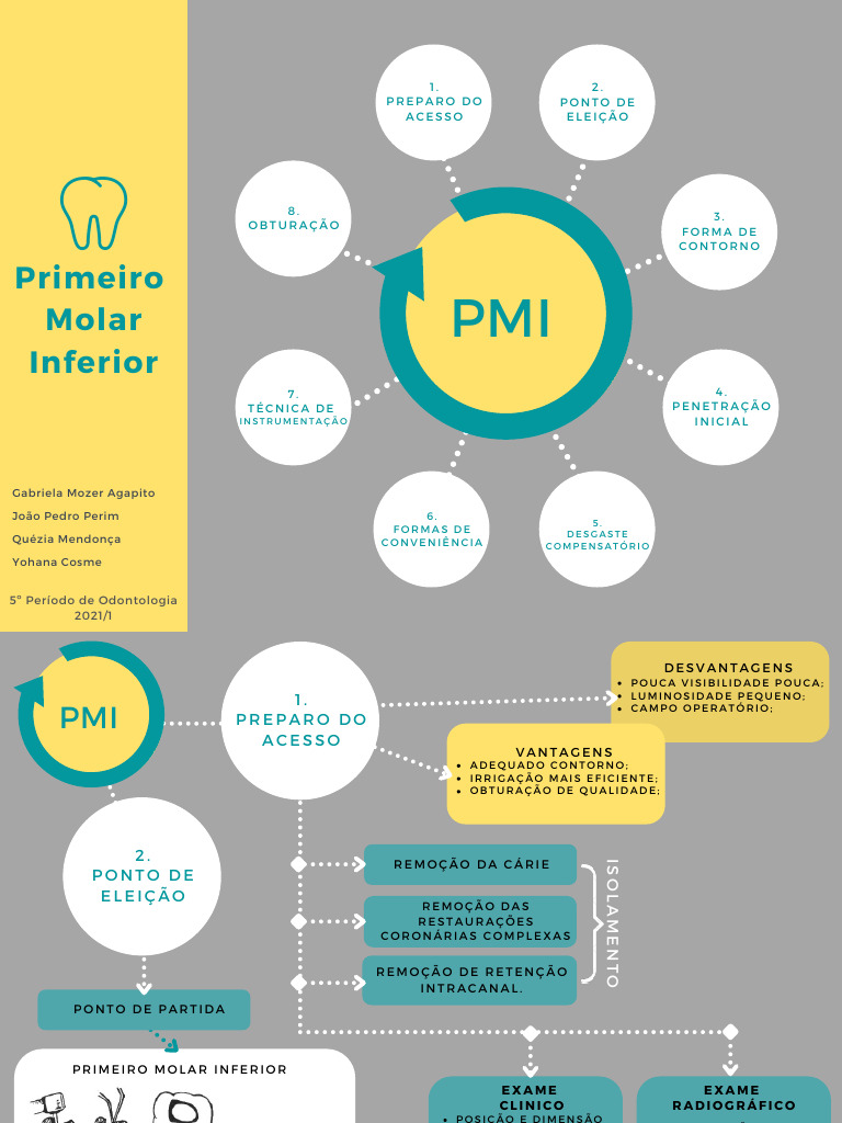 Primeiro Molar Inferior | PDF | Anatomia dental | Áreas da odontologia