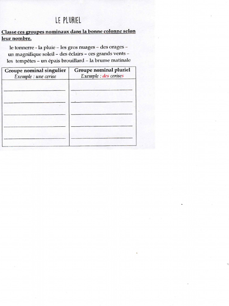 Exercices Sur Le Pluriel | PDF