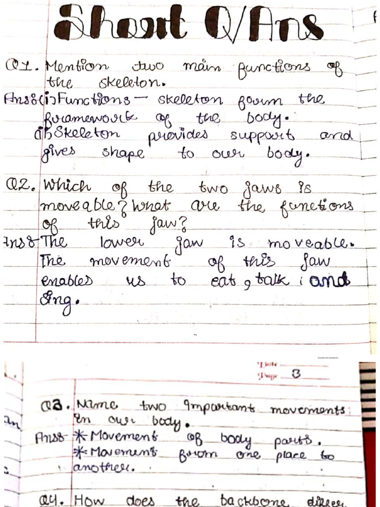 CH 5 QA | PDF