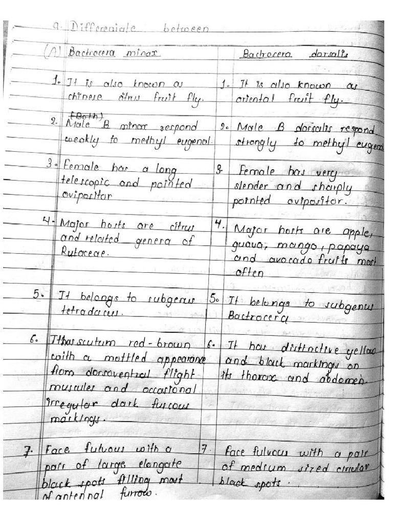 Assignment Difference Between | PDF