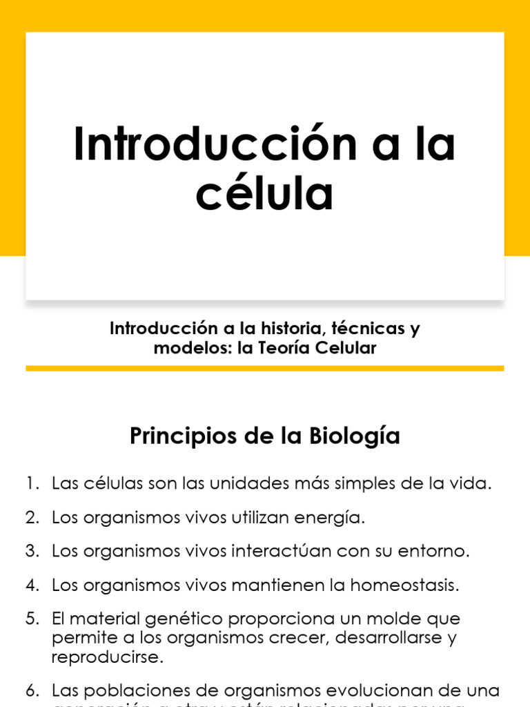 Tema 1. Introducción A La Célula | PDF | Biología Celular) | Microscopio