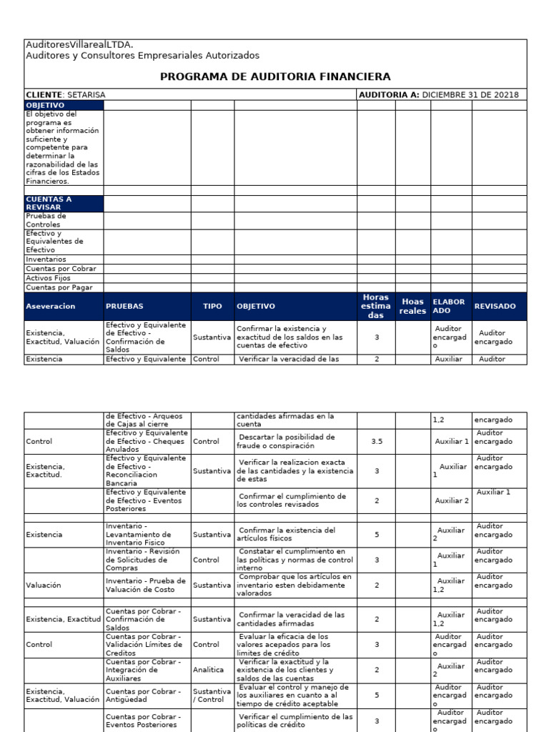 Auditoria Original 3209 | PDF | Auditoría | Planificación