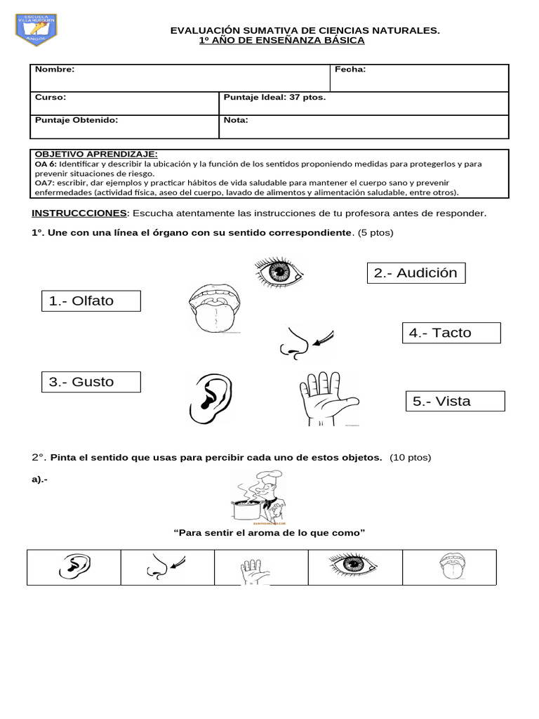 Evaluacion N°1 - Los Sentidos - 1° Básico. | PDF | Sentidos | Evaluación