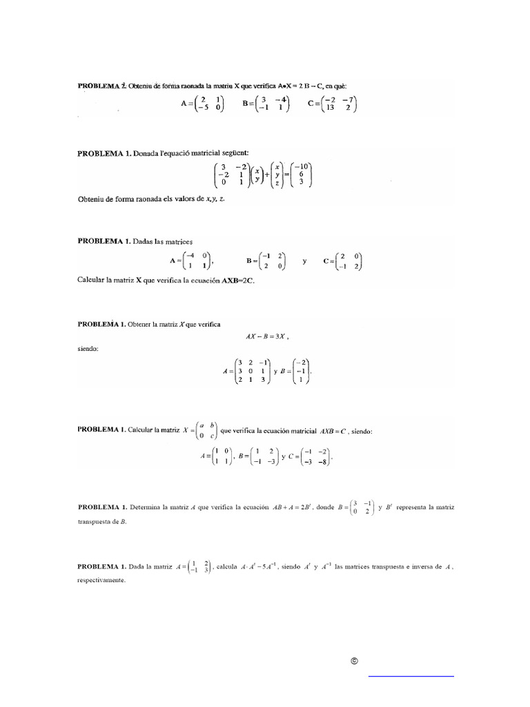 Matrius I Determinants | PDF
