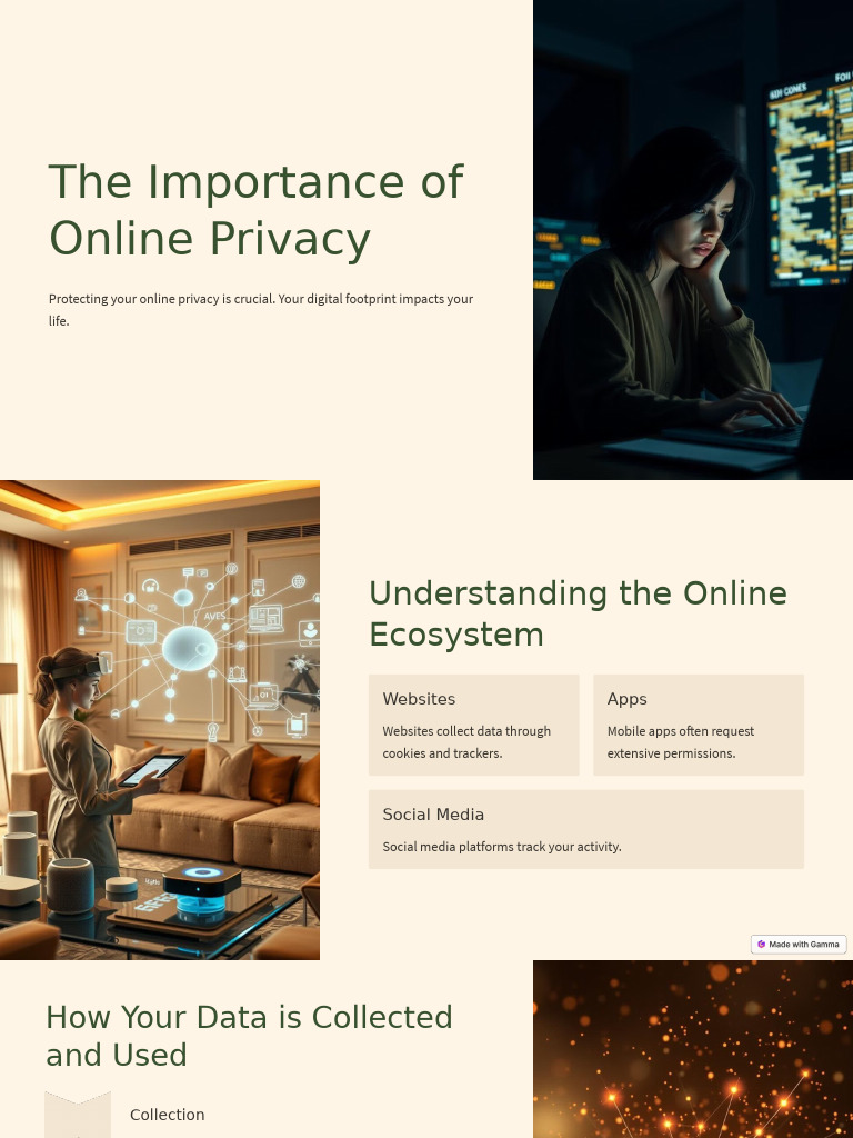 The Importance of Online Privacy | PDF