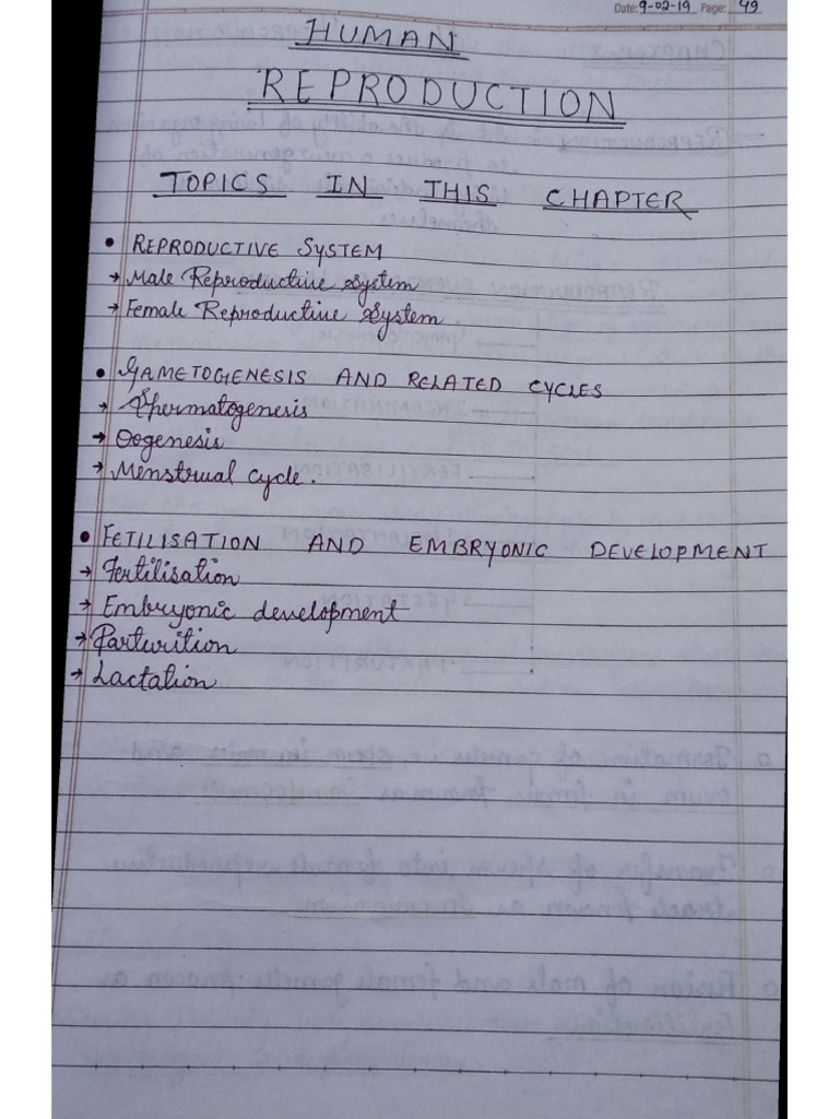 Class Xii Biology Notes Chapter 3 Human Reproduction | PDF