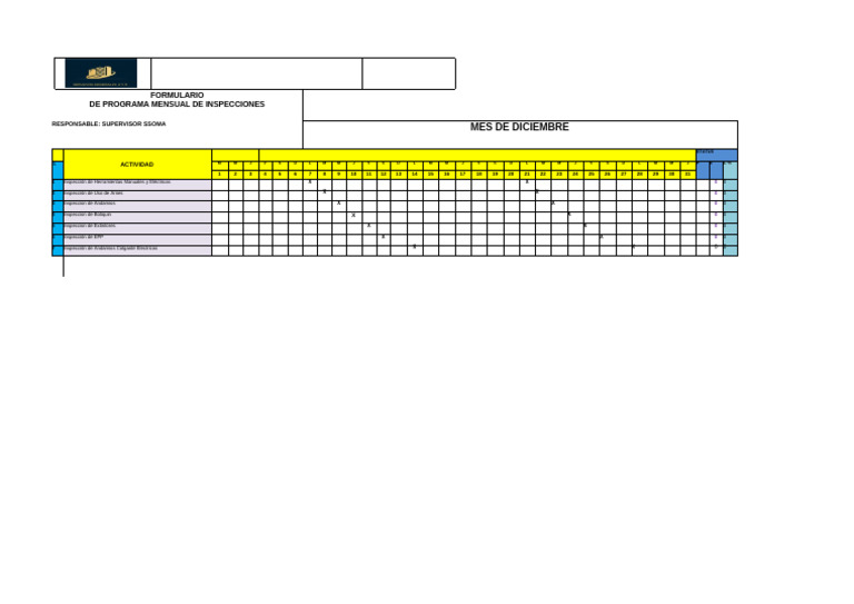 Programa de Inspeccion - FEBRERO 2021 | PDF