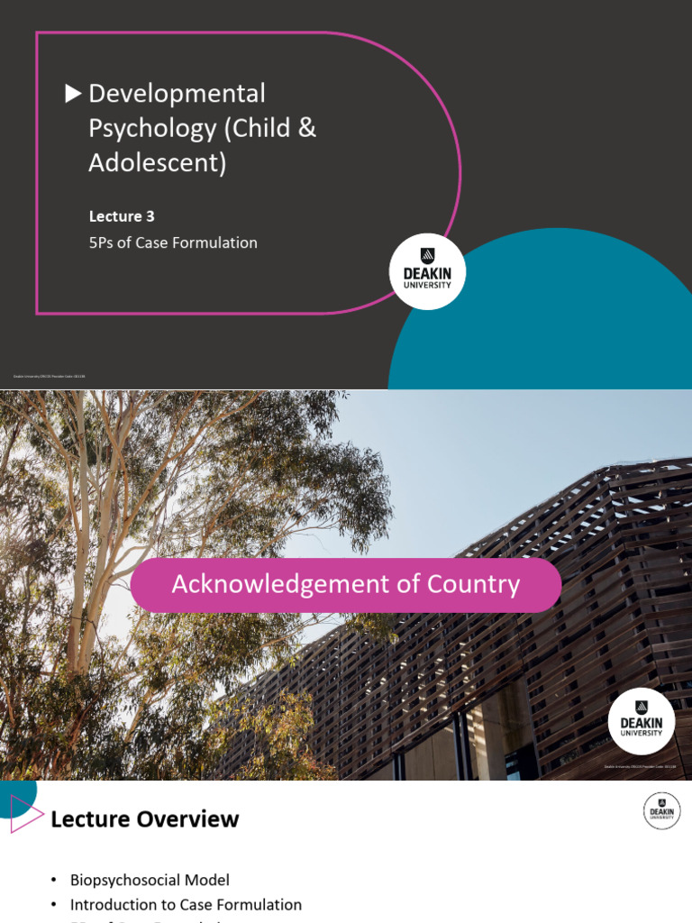 Child Psychology Case Formulation | PDF | Learning Disability | Mental ...