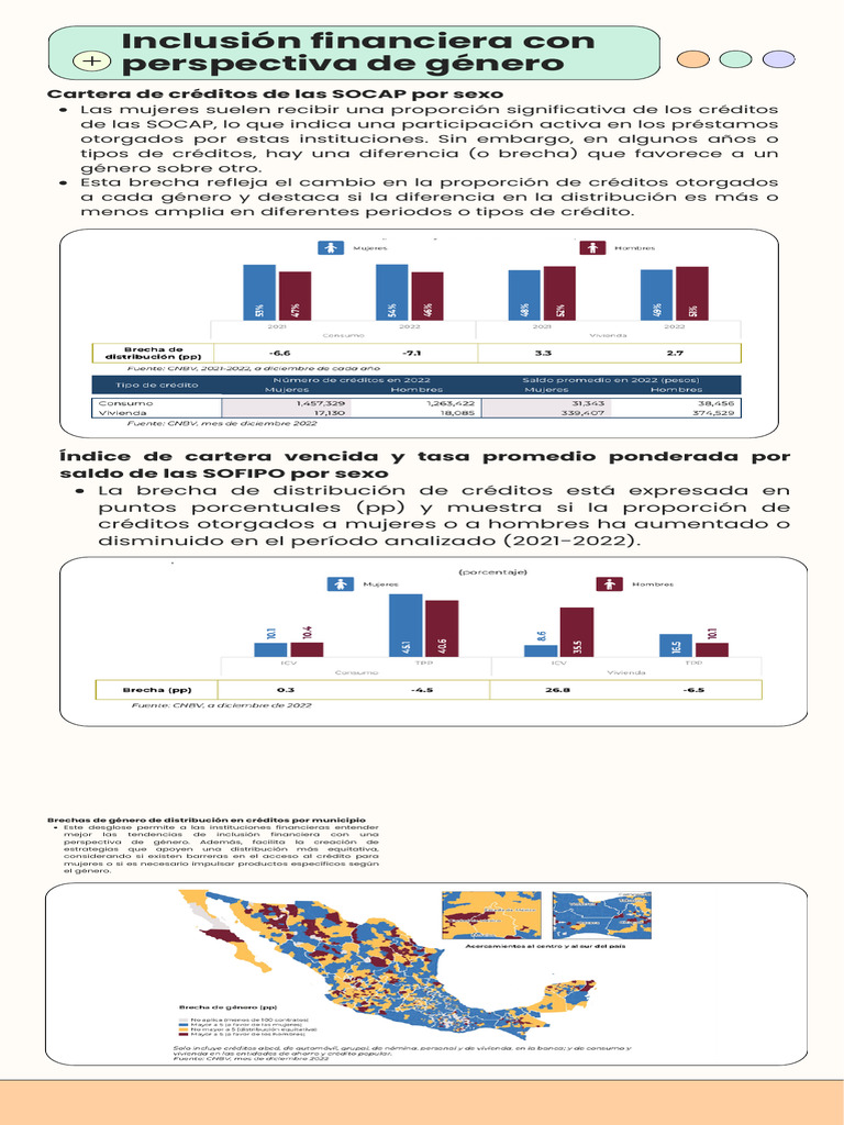 Panorama Anual de Inclusión Financiera 2023 | PDF | Inclusión ...