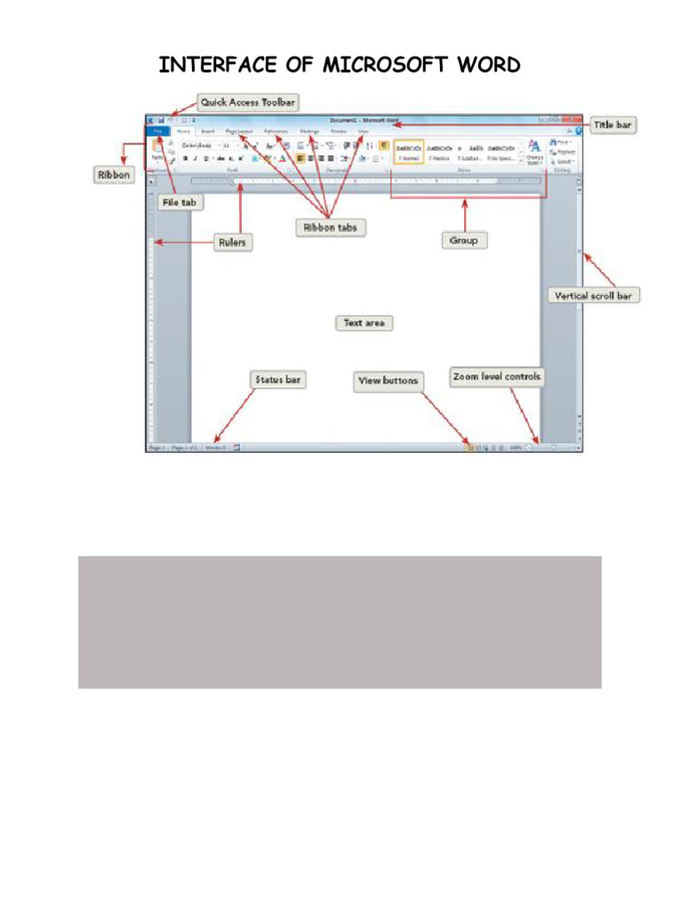 Interface of Microsoft Word | PDF | Microsoft Word | Software