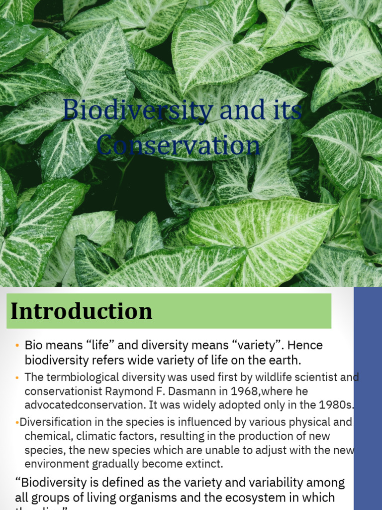 Bioecology Conservation | PDF | Biodiversity | Conservation Biology
