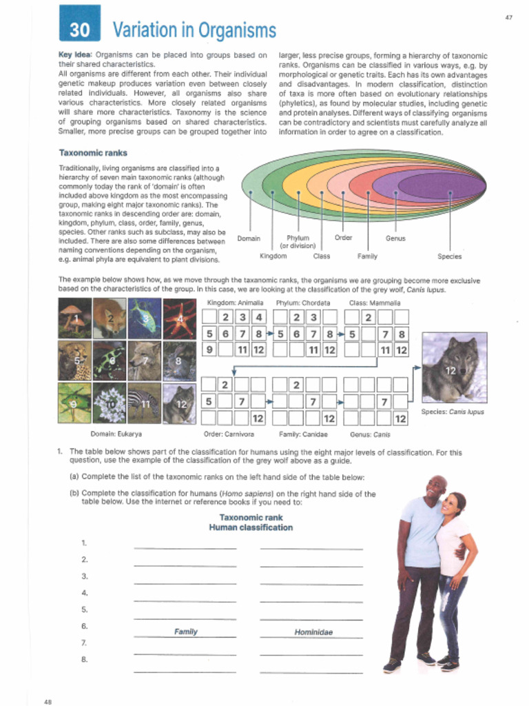 A3.1 Diversity of Organisms - Biozone | PDF