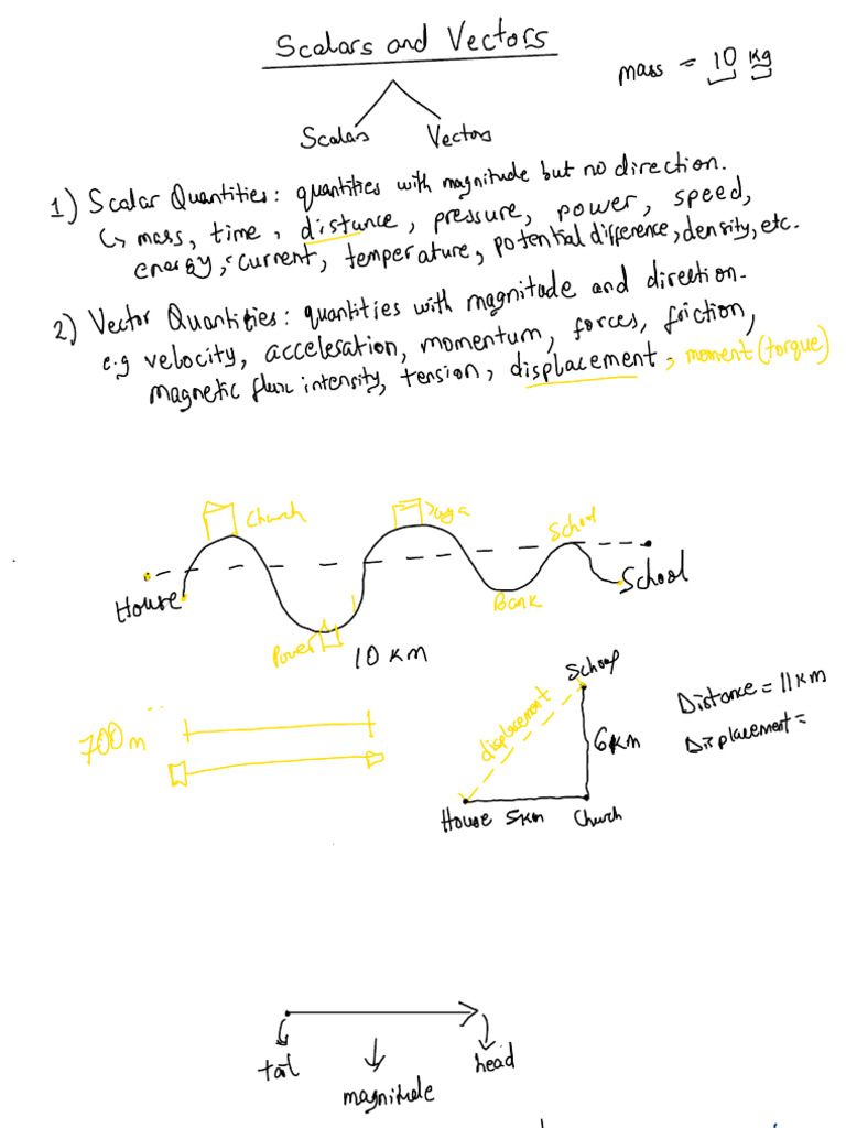 Scalars and Vectors | PDF