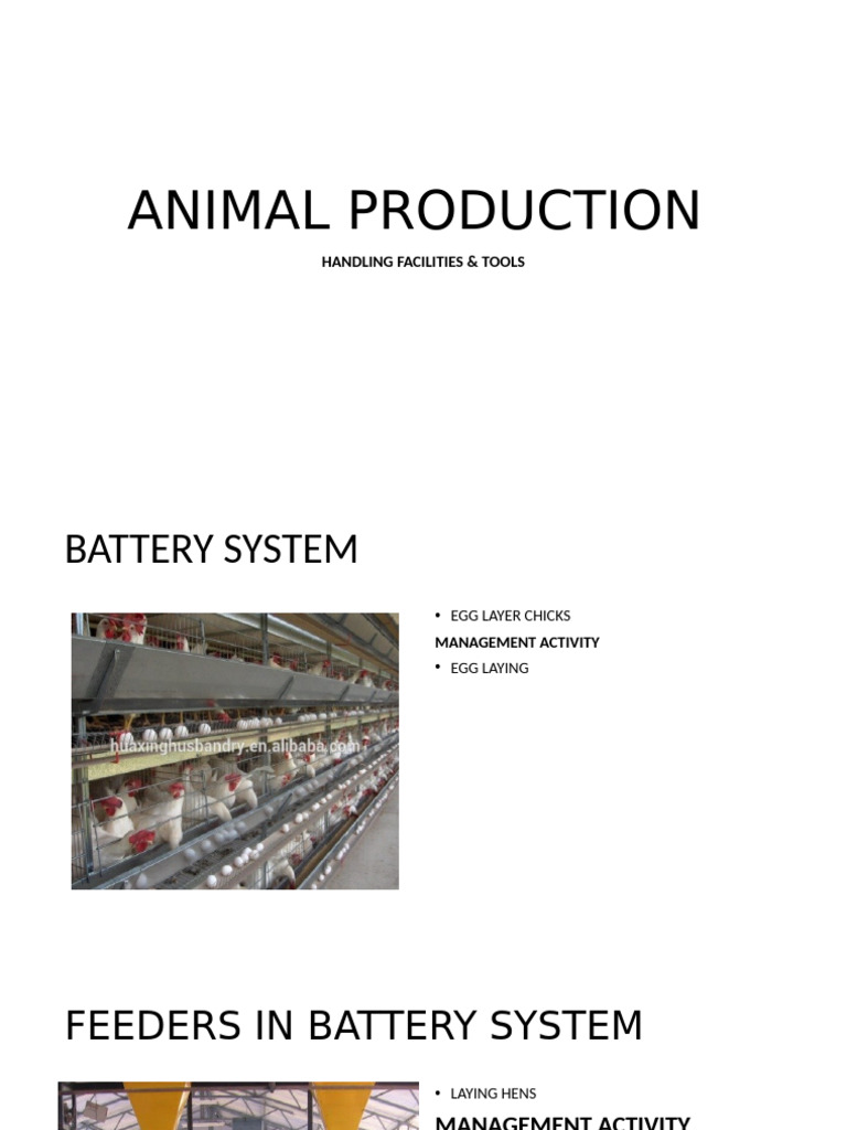 Poultry and Livestock Management Tools | PDF | Chicken | Sheep
