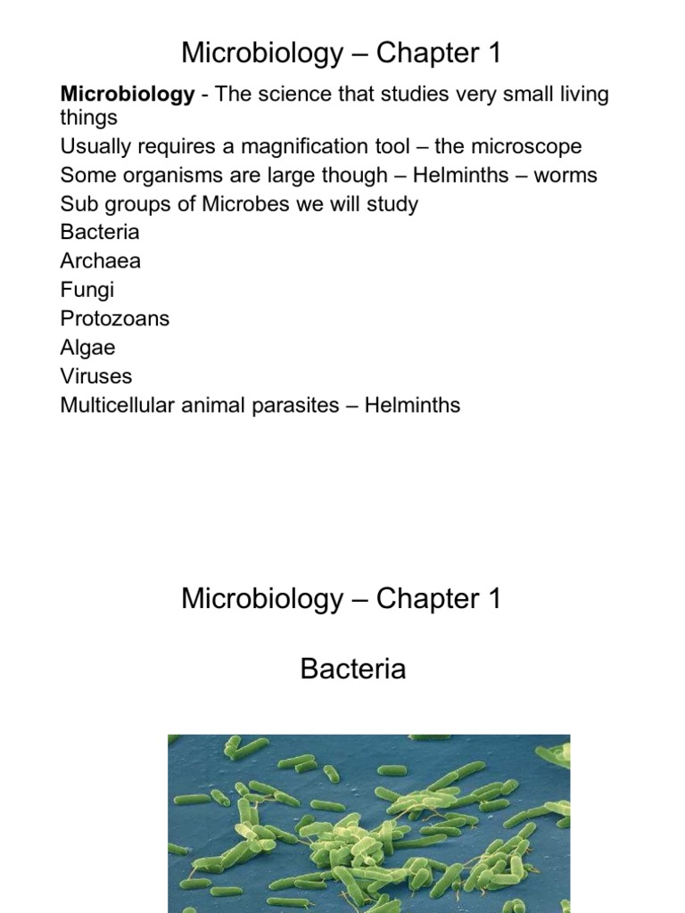 Microbiology Chapter 1 | PDF | Microbiology | Eukaryotes