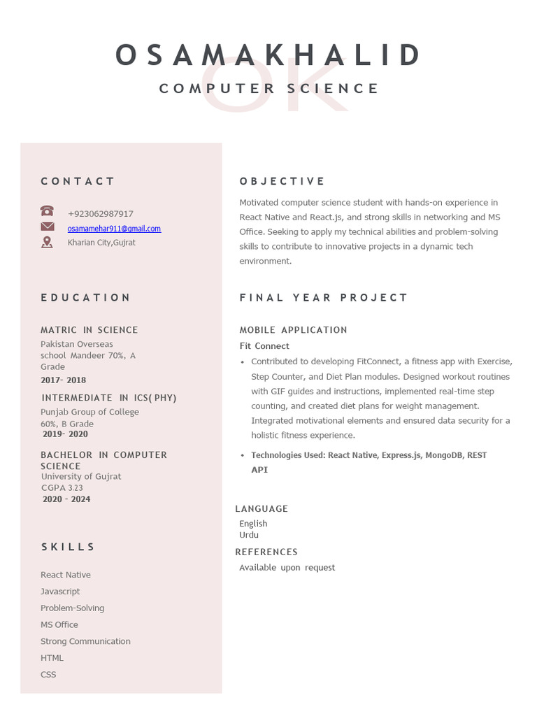 Osama CV2-3 | PDF | Business