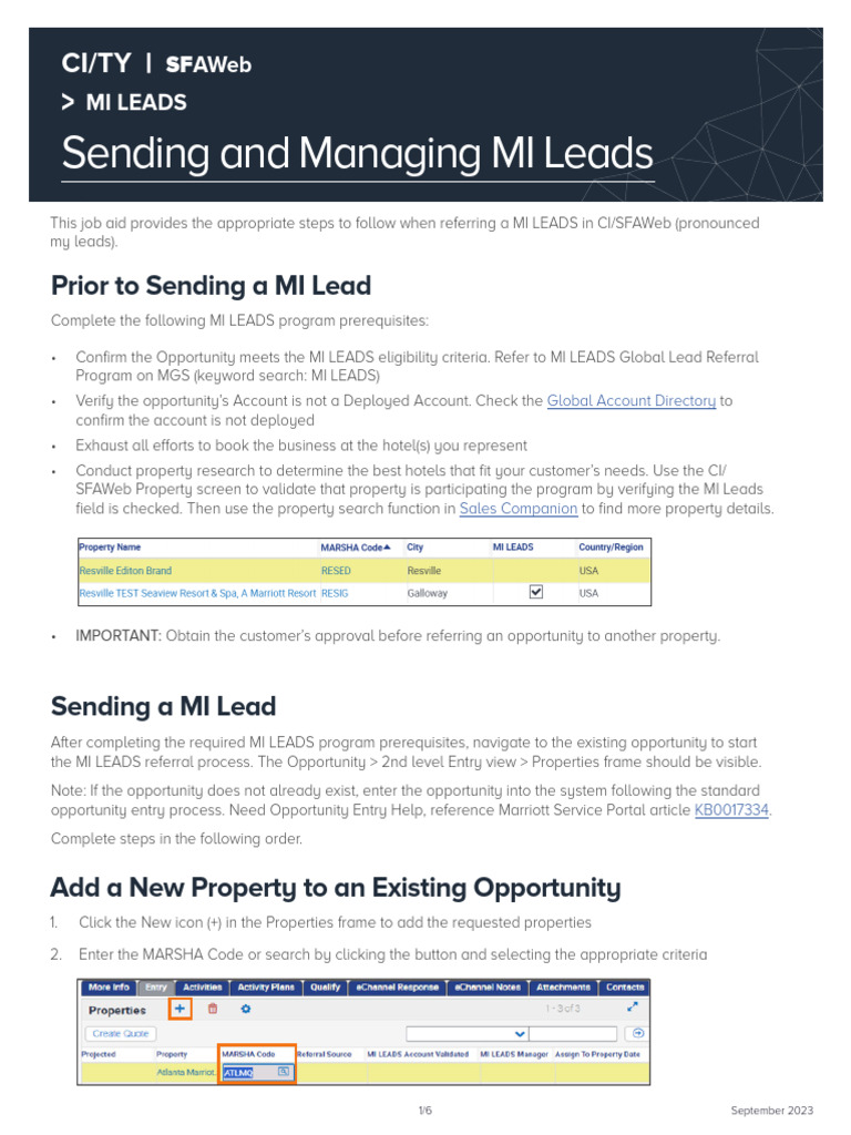 Managing MI Leads in SFAWeb | PDF | World Wide Web | Internet & Web