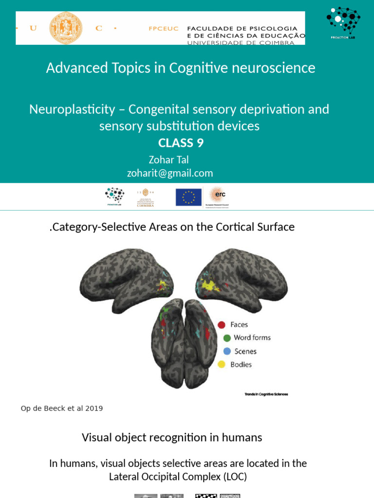 Neuroplasticity SSD 4web | PDF | Cognition | Cognitive Psychology