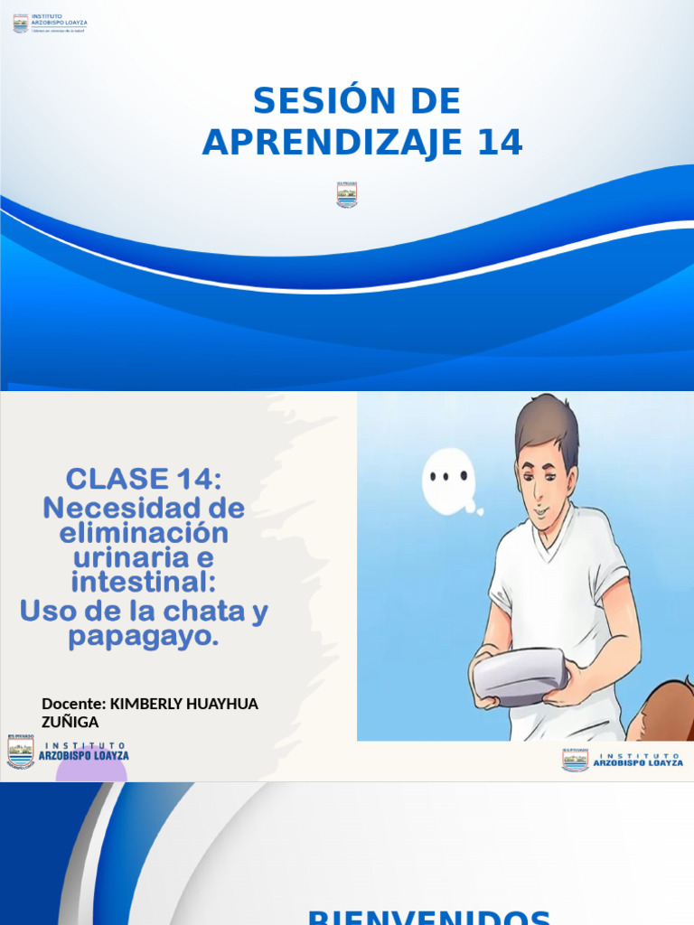 Clase 14 Uso de Chata y Papagayo | PDF | Sistema digestivo humano | Heces
