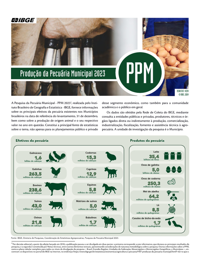 PRODUCAO PECUARIA 2023 - PPM - 2023 - v51 - BR - Informativo | PDF | Frango | Brasil